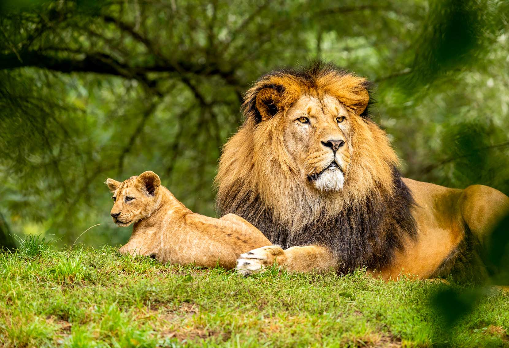 Home - Holiday and Corporate Tours and Travel